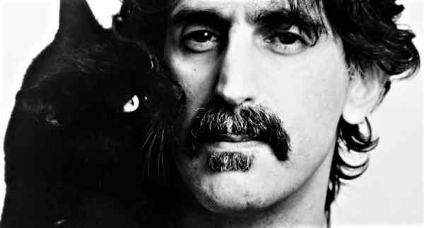 Zappa, Volume 2 - American Songwriter