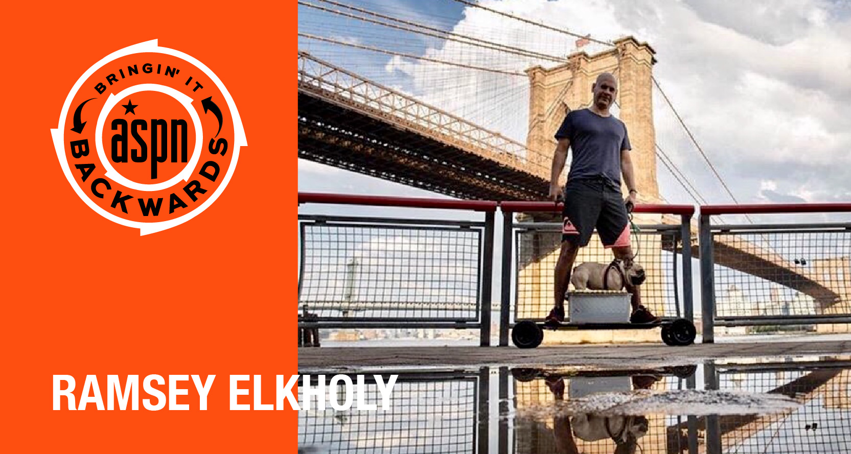 Bringin' it Backwards: Interview with Ramsey Elkholy of Monotronic ...