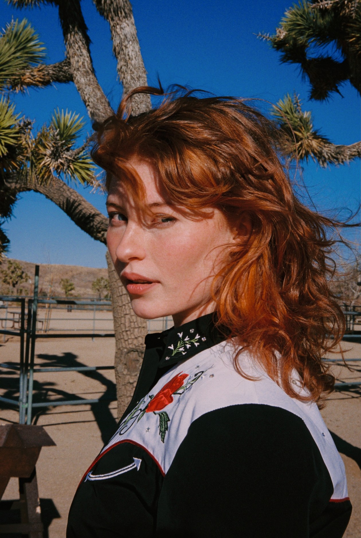 Allison Ponthier Opens and Shuts New Cycle on 'Faking My Own Death ...