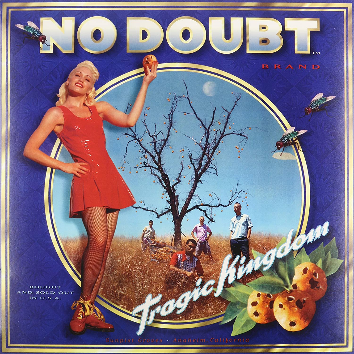 Behind the Song Lyrics: “Just A Girl,” No Doubt - American Songwriter