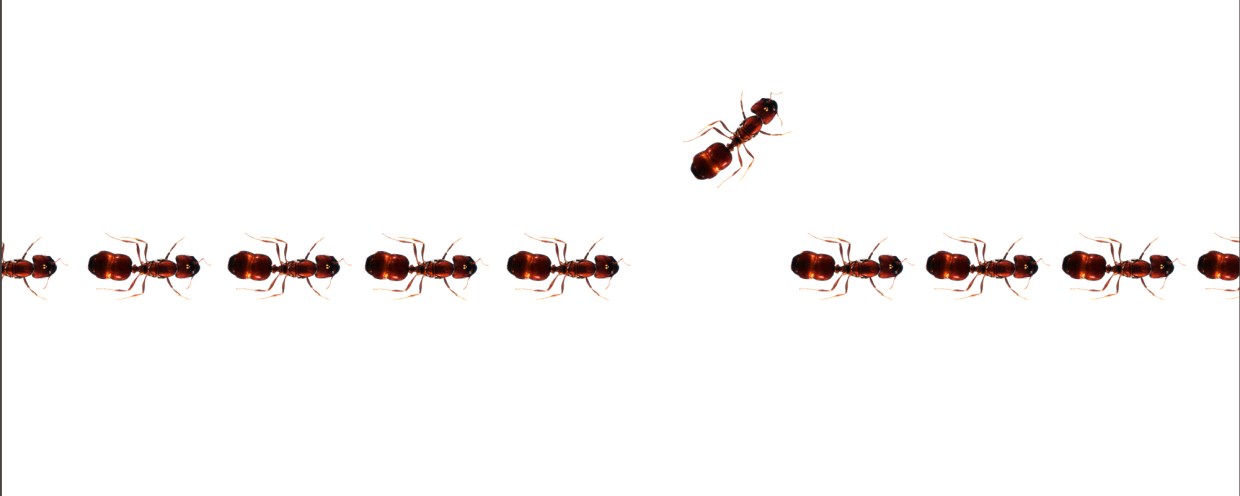 Remember When: Will Ferrell and John C. Reilly Imitate Bing Crosby and ...