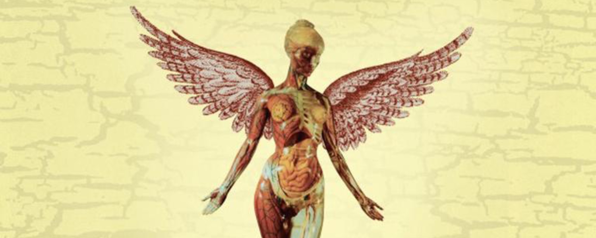 The Story Behind Nirvana’s ‘In Utero’ Album Cover | 100.9 The Grade ...