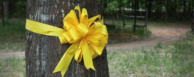 50 Years Later, The Meaning Behind “Tie a Yellow Ribbon Round the Ole ...