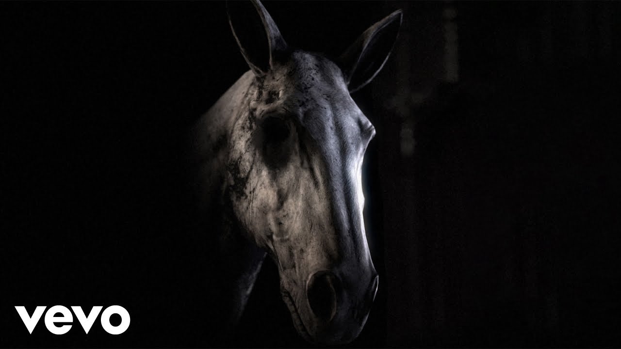 Noah Cyrus Teams Up with Australian Singer Vance Joy for “Everybody ...