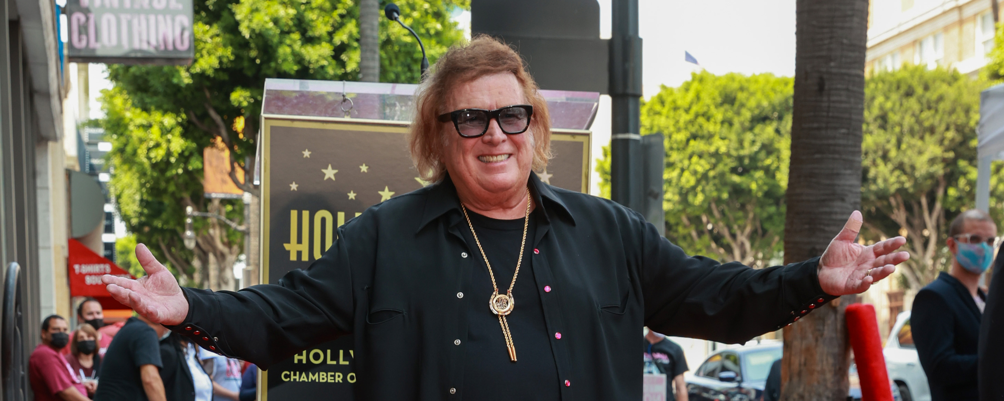 The Deeper Meaning Behind Don McLean's Hit "Vincent"