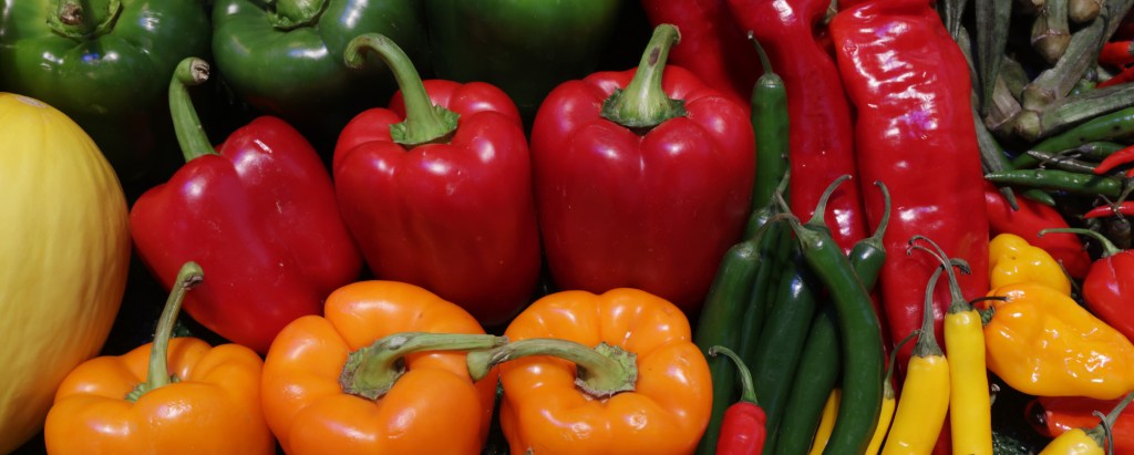 Behind the Meaning of the Classic Gospel Song “Wade In The Water”