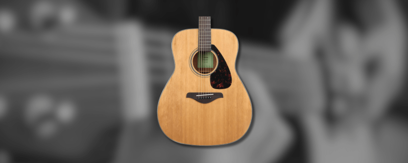 GEAR REVIEW: Cole Clark FL2-EC BLBL HUM Acoustic Guitar - American ...