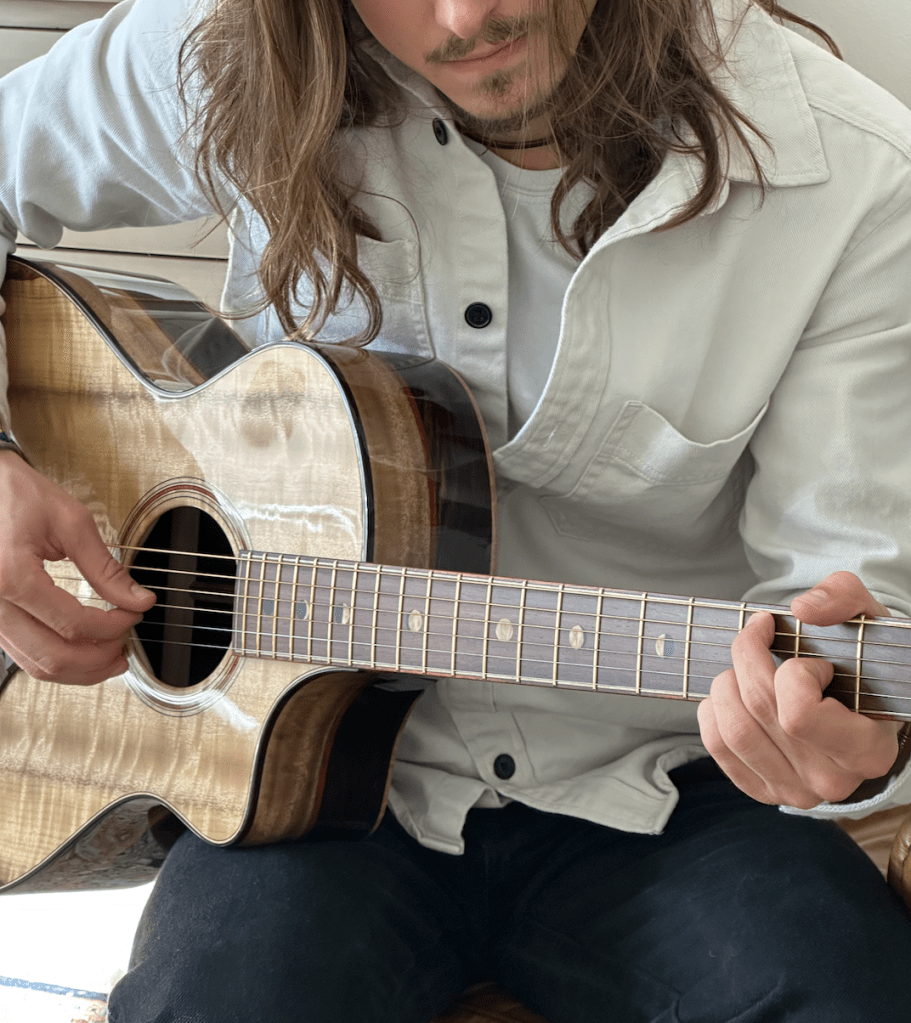 Myrzilian 2 Acoustic Guitar Review: The Breedlove + Sweetwater Project ...