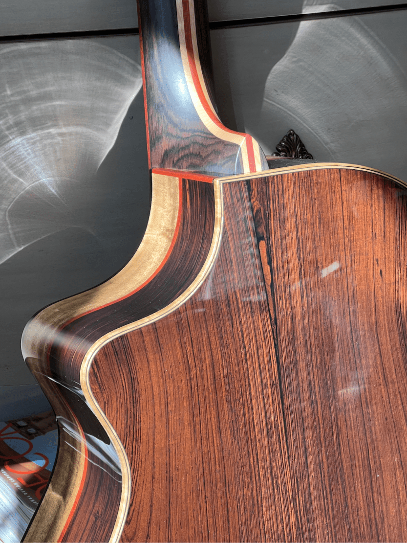 Myrzilian 2 Acoustic Guitar Review: The Breedlove + Sweetwater Project ...