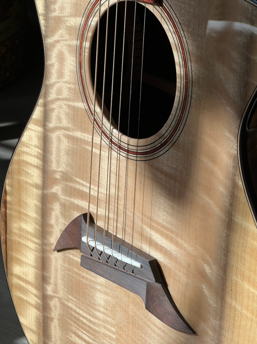 Myrzilian 2 Acoustic Guitar Review: The Breedlove + Sweetwater Project ...