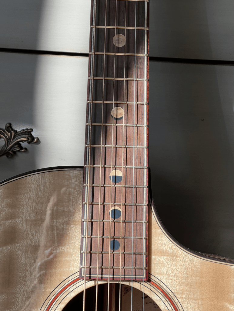 Myrzilian 2 Acoustic Guitar Review: The Breedlove + Sweetwater Project ...