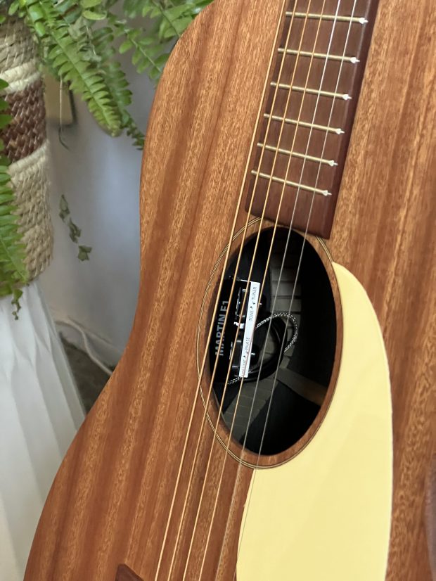 Martin Guitars x Sweetwater Select Sean Daniel 00X2E Guitar Review ...