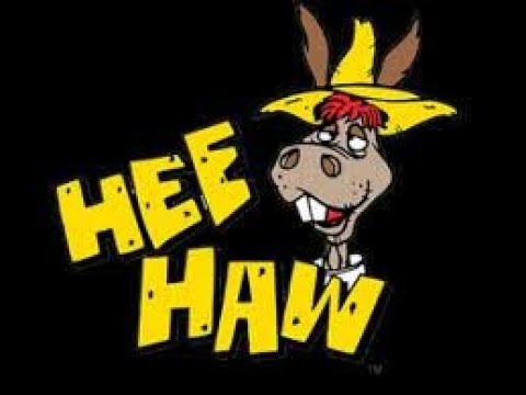 Beloved 'Hee Haw' Comedian, Gospel Singer Lulu Roman Dies at 78 ...