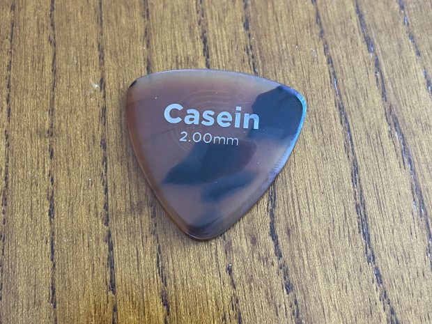 D’Addario Casein Pick Review: Feeling Stuck in Your Acoustic Playing ...