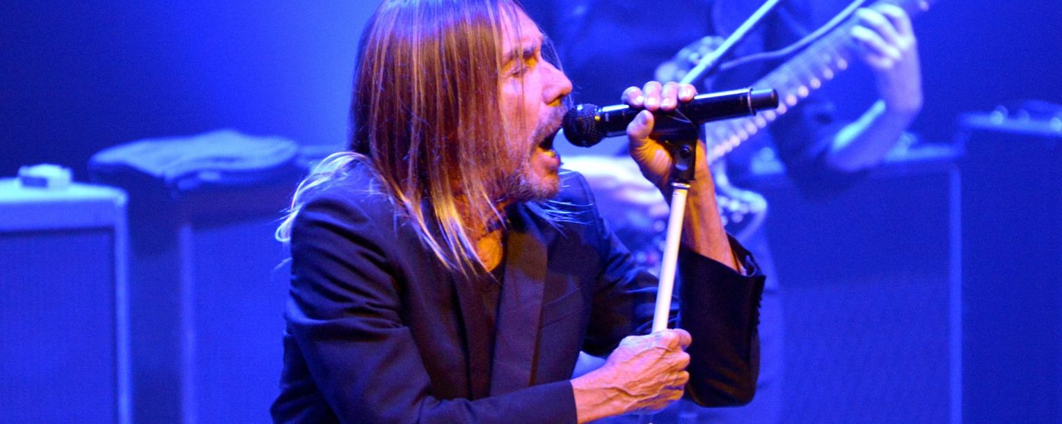 The Meaning Behind “I Wanna Be Your Dog” by The Stooges: How Iggy Pop’s ...