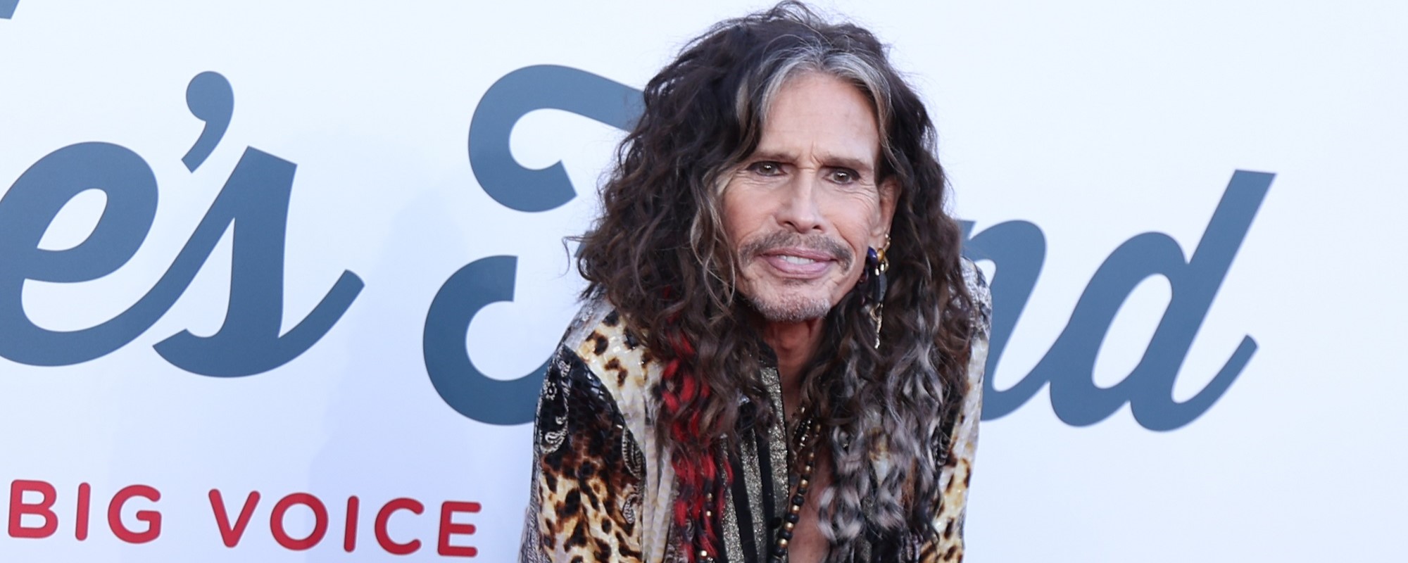 Steven Tyler Is Back Onstage! Watch the Aerosmith Frontman Join ...